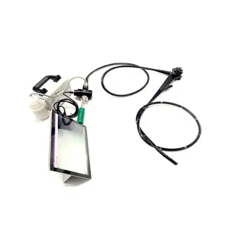 Digital Flexible Veterinary Endoscopy Ureteroscope/cystoscope ...