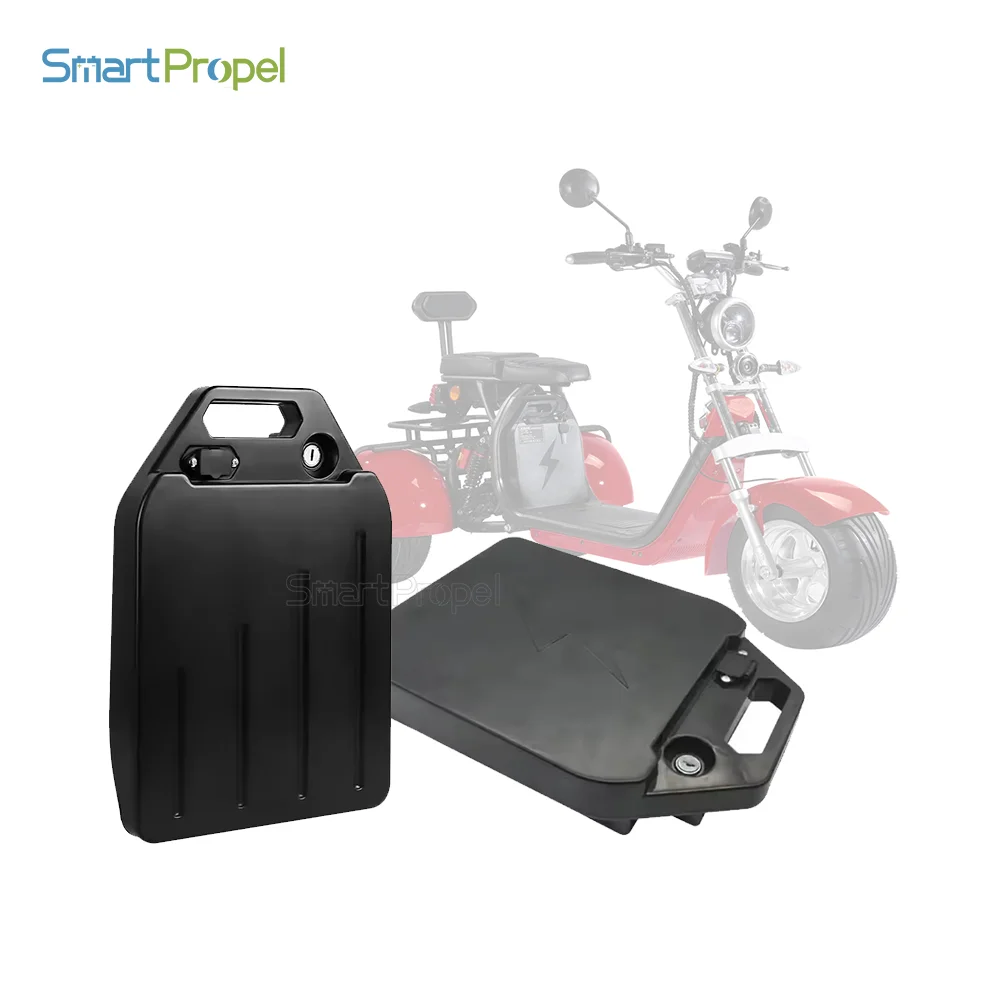 Extra battery mini citycoco removable battery 72v 60V 10Ah 15Ah 18Ah ...