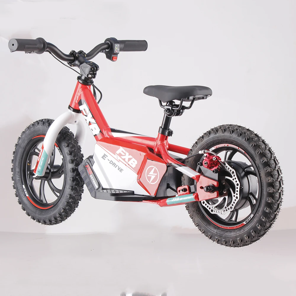 FXB 12inch Electric Bike - 250W Power, Aluminum Frame