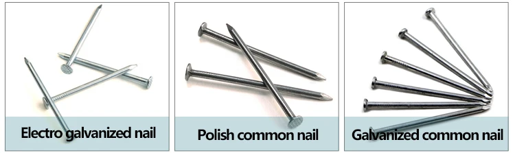Common Wire Nails