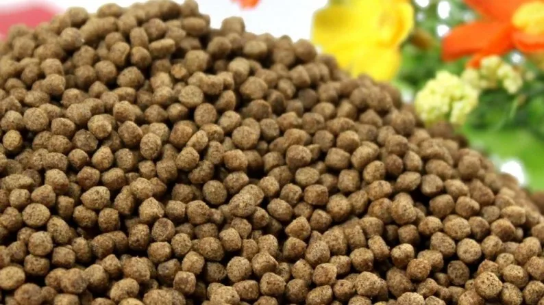 Hot Selling Float Puffed Tilapia Fish Feed Pellets Make Extruder ...