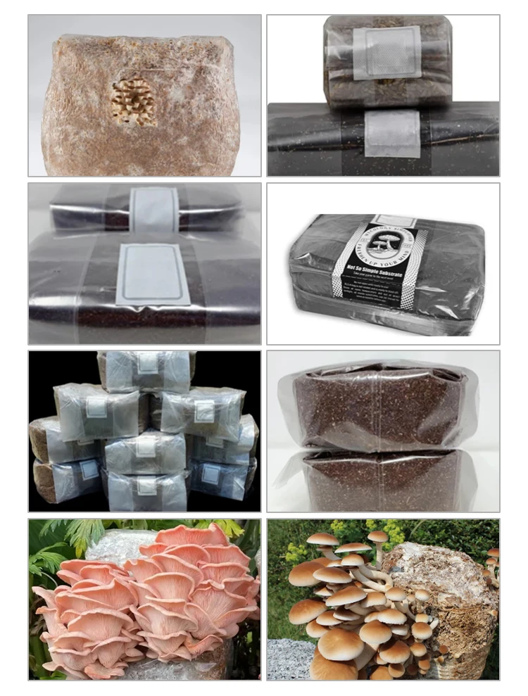 Oyster Mushroom Growing Equipment Bagging Machine Substrate Bag Filler ...