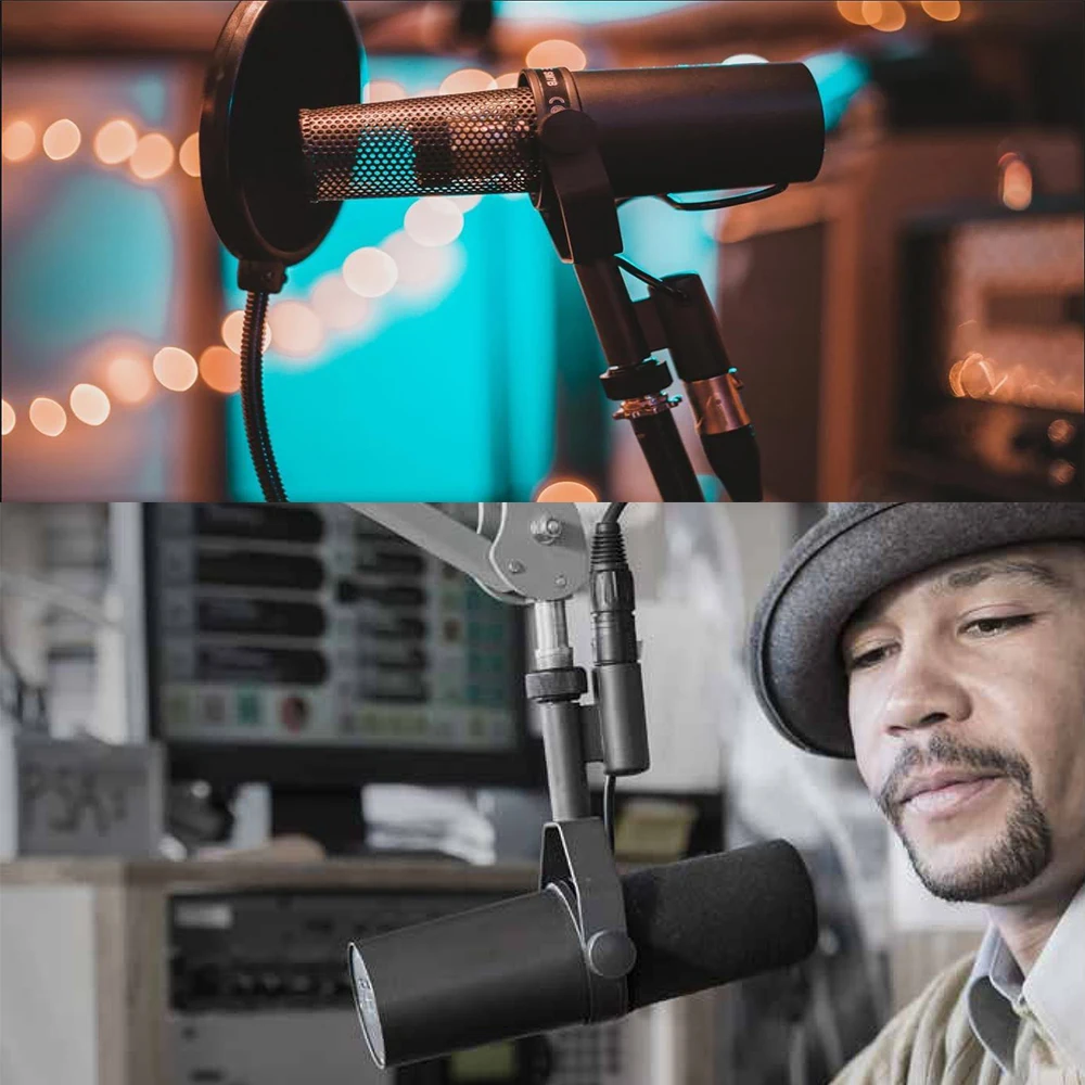 Professional Studio Selectable Frequency Microphone Broadcasting ...