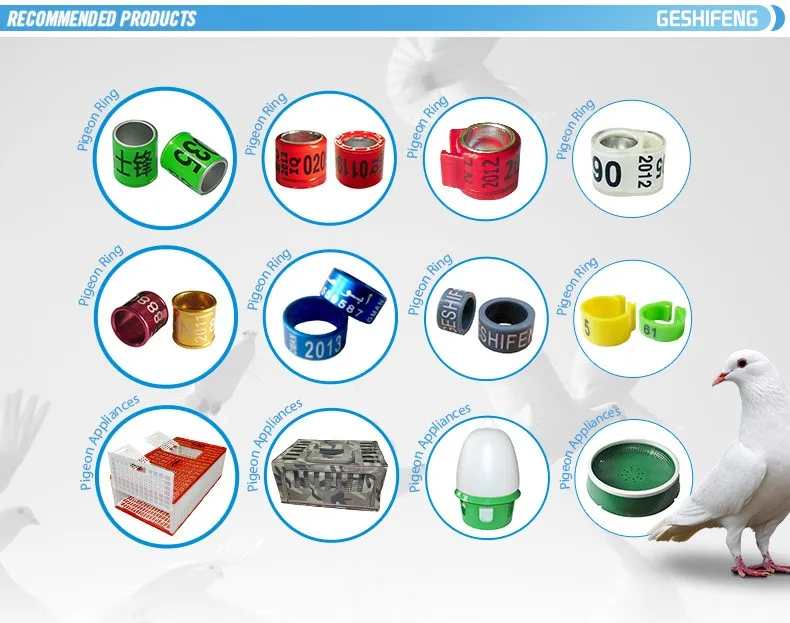 2022 Racing Pigeon Supplies - Foldable Plastic Cages