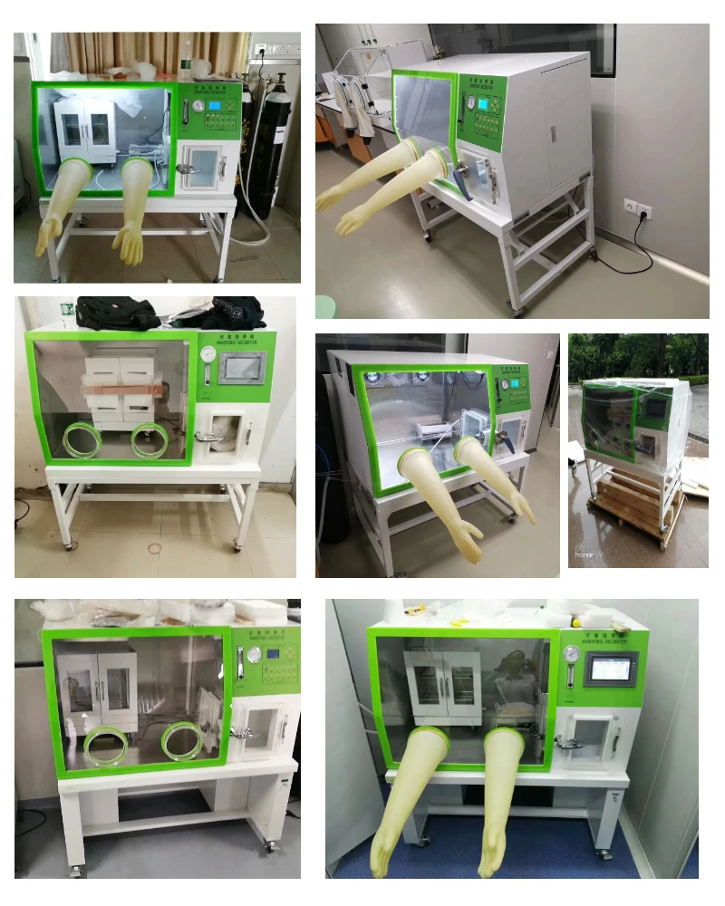 WEIAI Anaerobic Workstation LAI-D2 CO2 Incubator Chamber Lab Chemistry ...