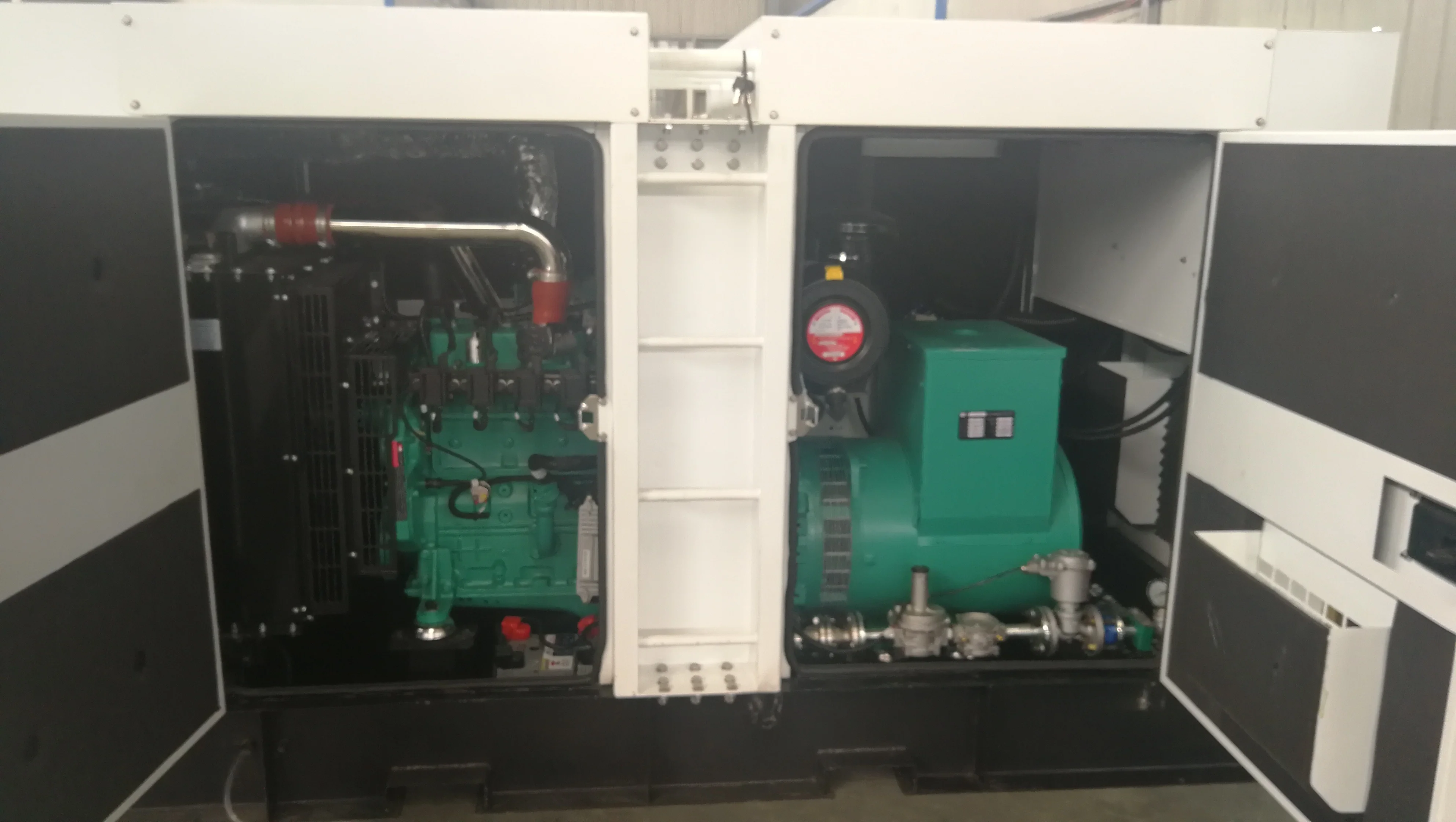 50KW Gas Generator Set with Biomass Gasifier - Silent & Efficient