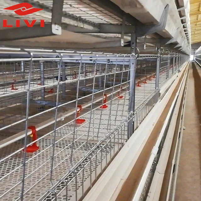 Low Price Chick Cages Systems Automatic Hot Sale Breeder Chicken Cage ...