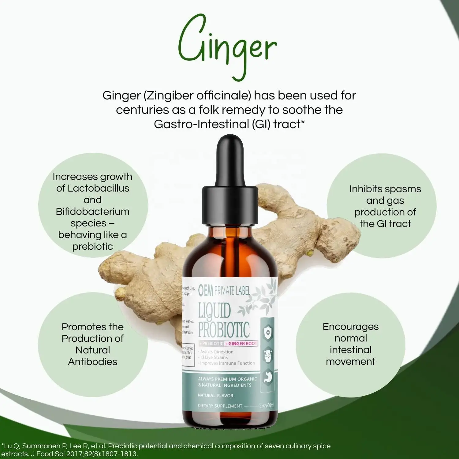 Organic Probiotics Liquid Drops Prebiotic Ginger Drops Digestive Gut ...
