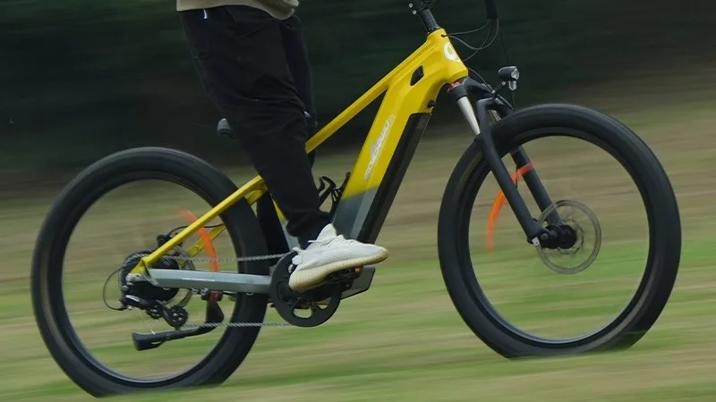 Factory Wholesale Torque Sensor Electric Fat Tire Mountain Bike 1000w ...