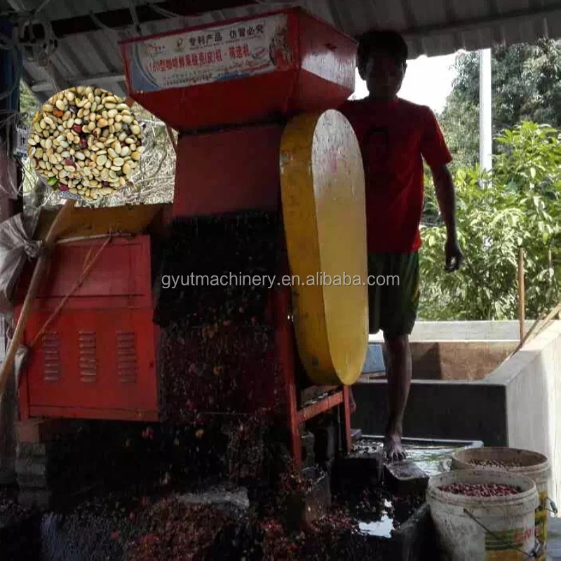 Efficient Coffee Hulling Machine - Mini Cherry Pulp Machine