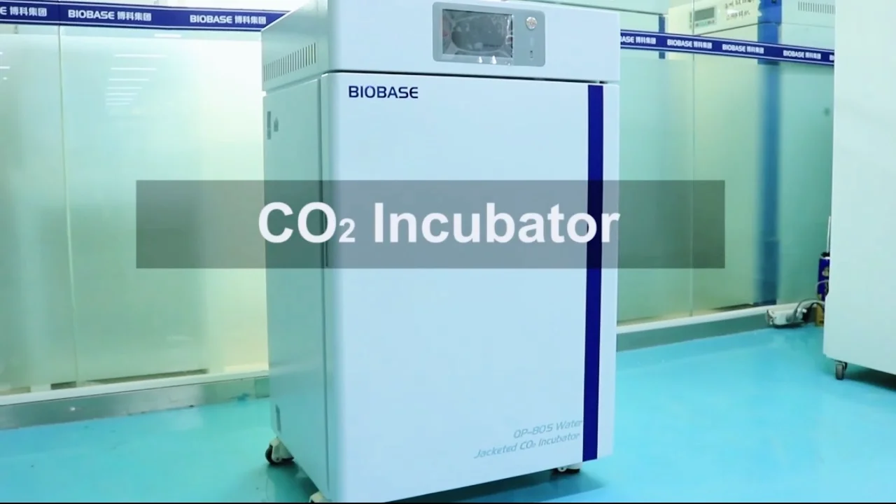 Biobase China Co2 Incubators 60 Degree 80l Cell Tissue Culture Carbon ...