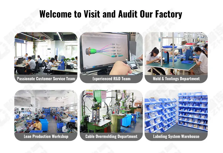 Ip67 Industrial M12 Rj45 Connector To M12 A B D X Code Circular Male ...