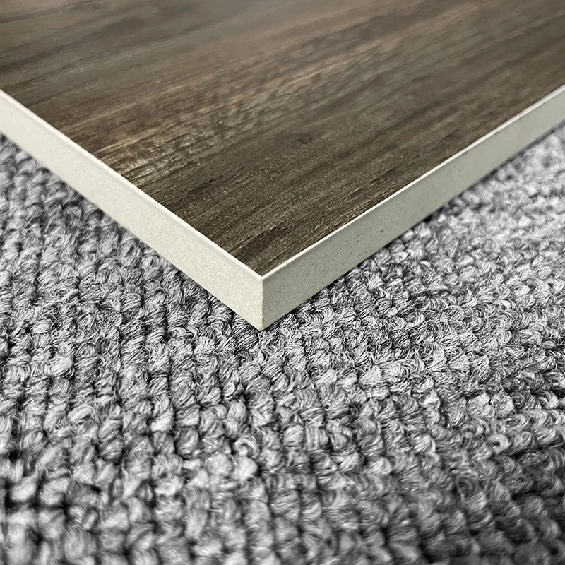 Living Room 48x24 Matte Porcelain Ceramics Full Body Floor Tiles Design ...