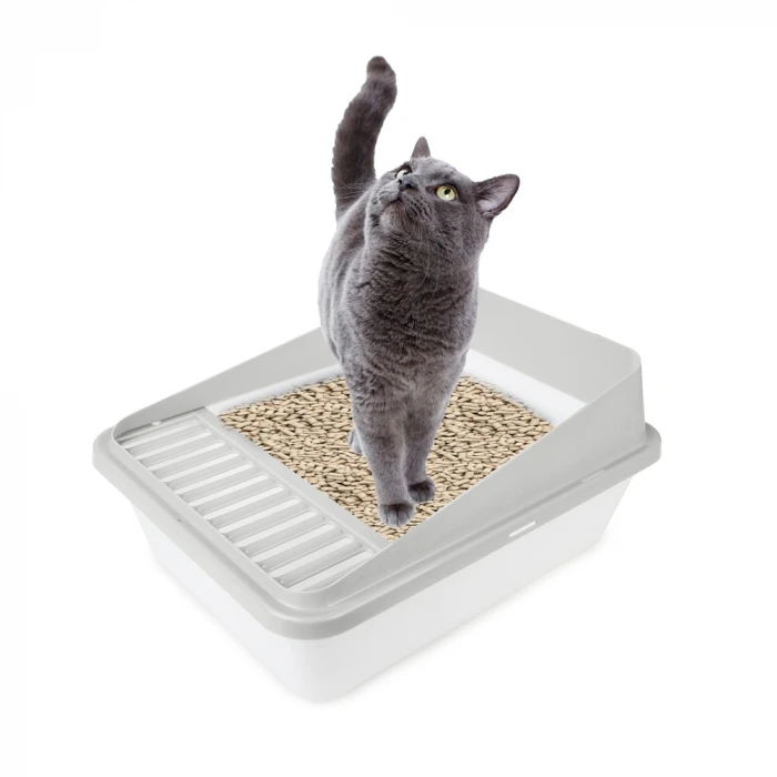 PETSAFE ScoopFree Complete Plus Self-Cleaning Litter Box