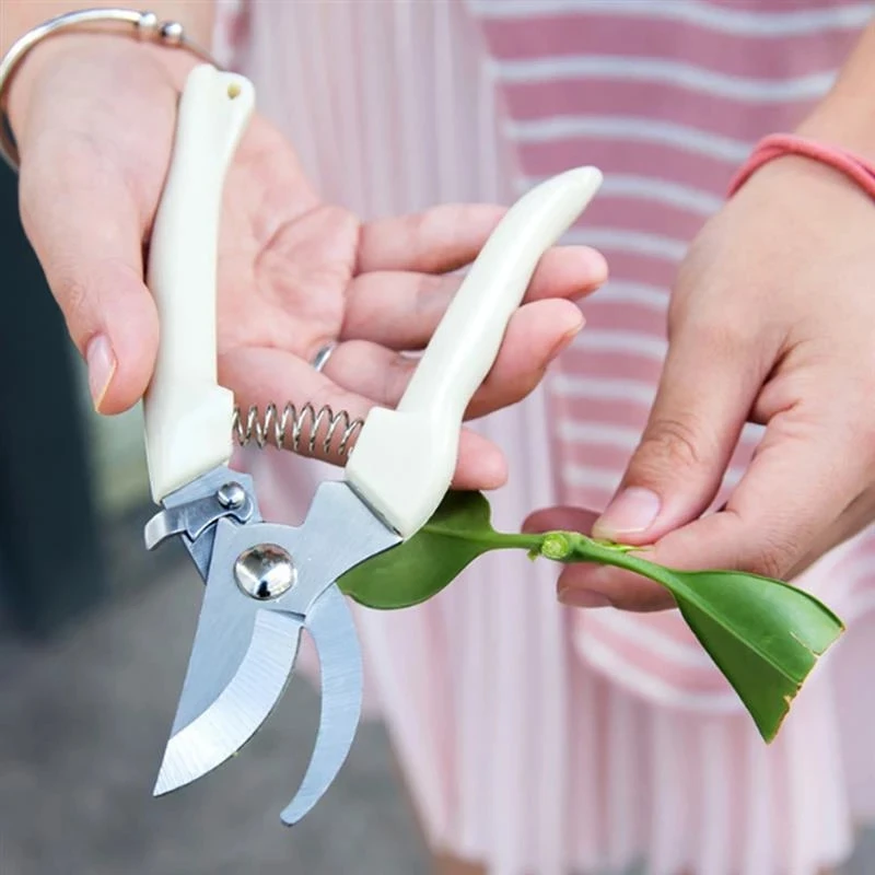 Sunshine Garden Limb Scissors Grafting Clipper Fruit Tree Hand Pruning ...