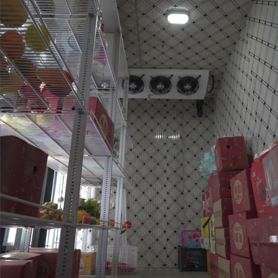 2023 Ac220v 20ft 40ft Cold Storage /cold Room Tube Led Light Moisture ...