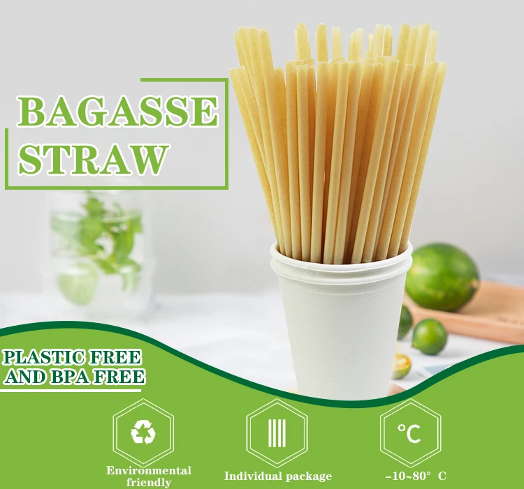 SUMKOKA Bagasse Paper Straws - Eco-Friendly & Biodegradable