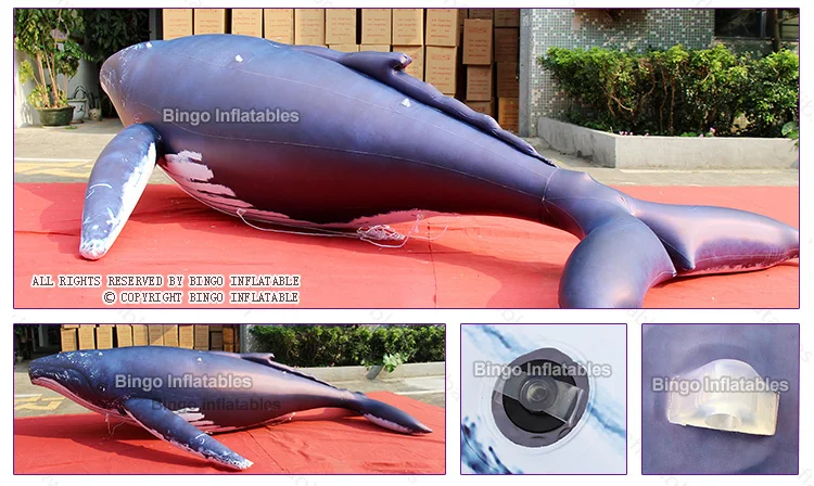 5 Meter Inflatable Whale - Perfect for Event Decorations