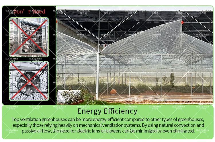 Sawtooth Greenhouse - Efficient Plant House Arch Pipes