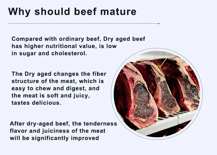 Beef Drying Chiller Cooler for Steak Fridge Display Meat Ageing