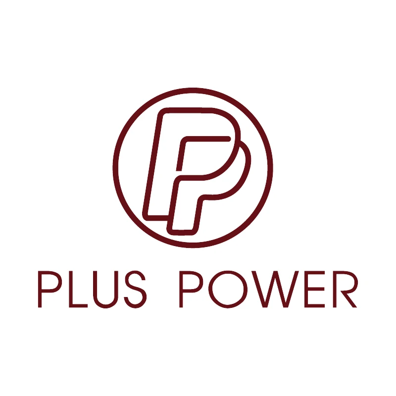 Company Overview - Dongguan Plus Power Co., Ltd.