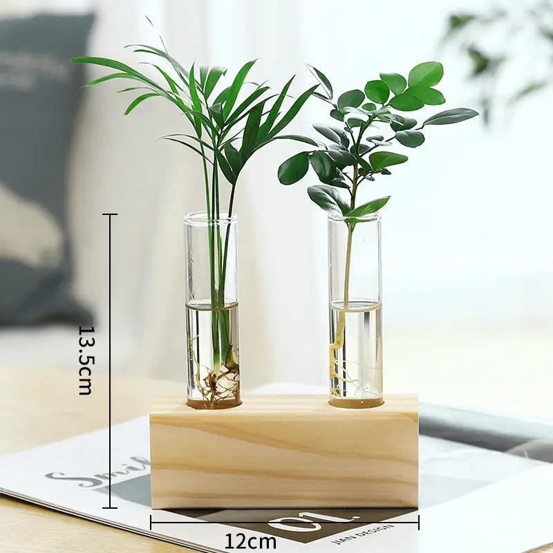 New Style Tube Planter With Wooden Stand Glass Planter Hydroponic ...