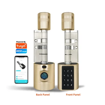 Tediton Newest Design Gold Smart Cylinder Lock Euro Cylinder Lock Tuya ...