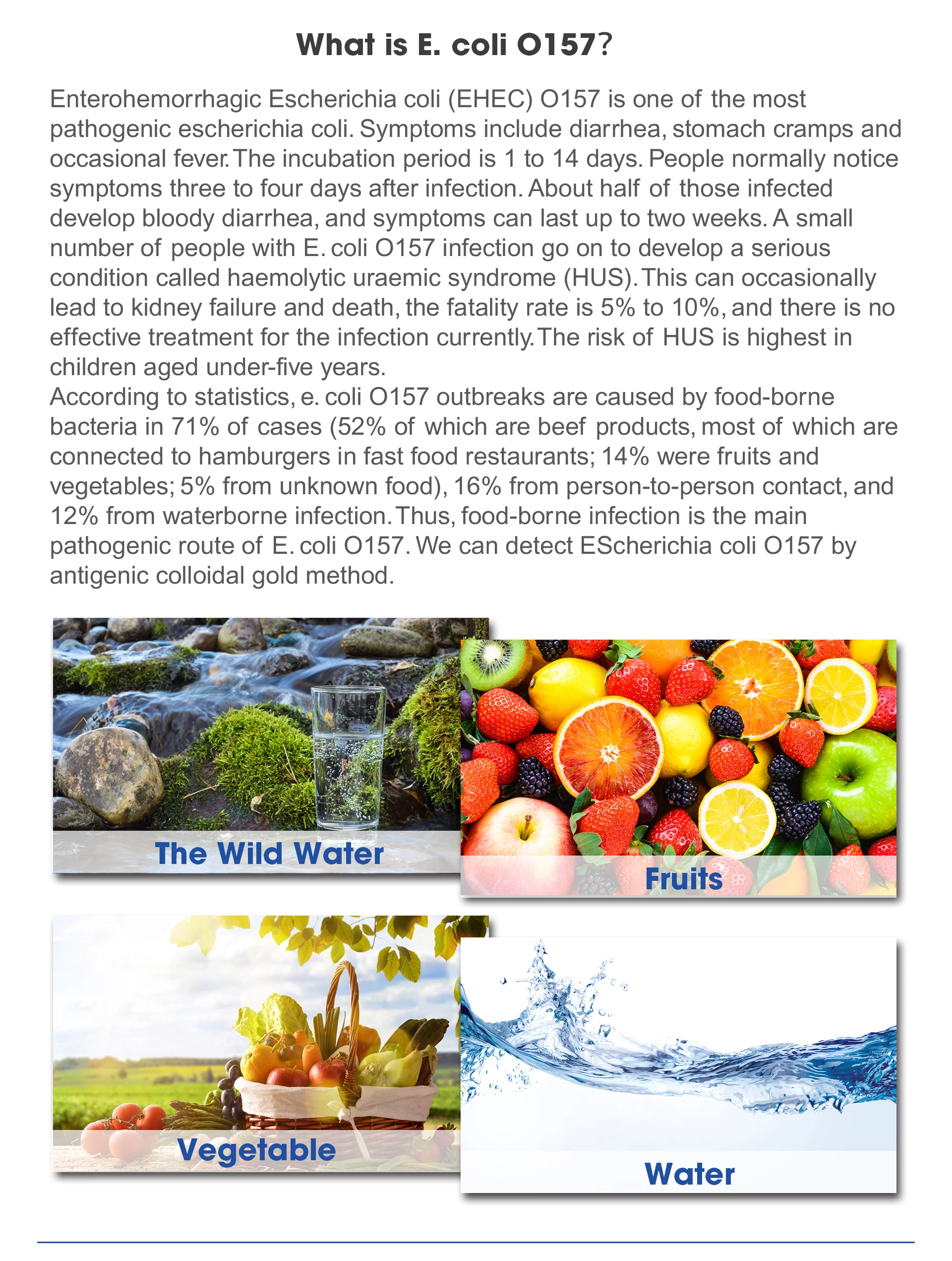 Drinking Water Test Kit Coliform Bacteria Li Buy Bacteria Water Test Kit For Detection Of