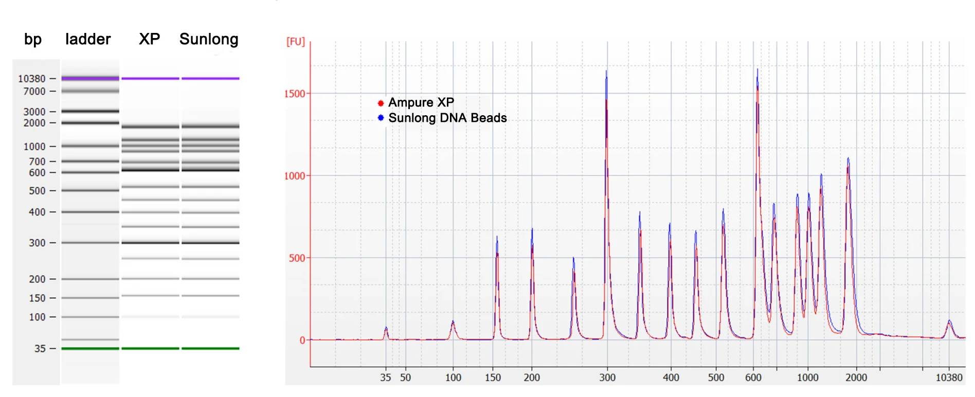 DNA Selection Beads for nucleic acid purification and fragment ...