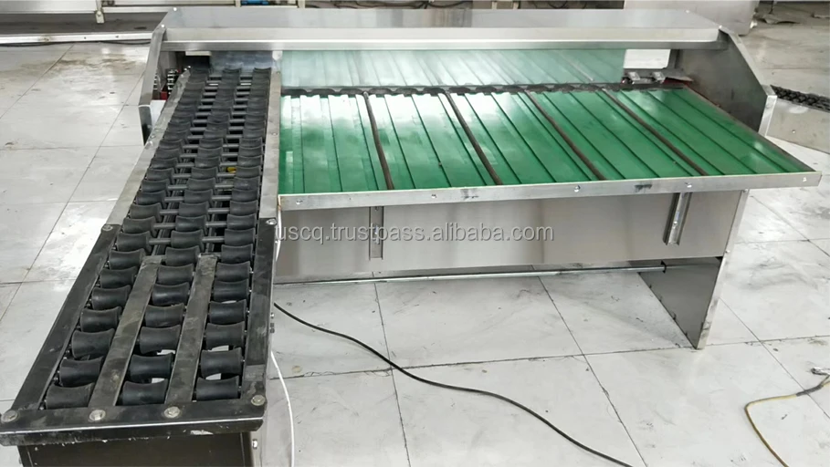 Industrial Stainless Steel Egg Weight Grader Egg Grading Machine 7 ...
