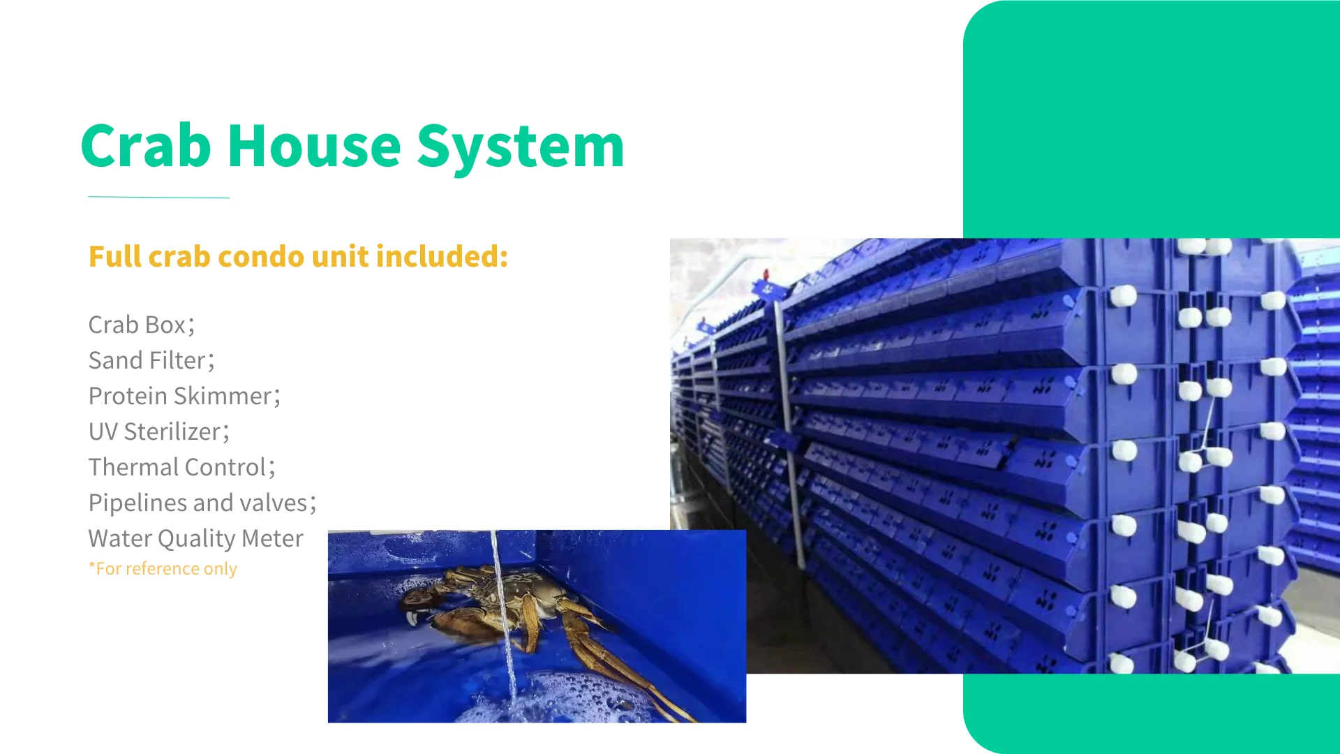 Customized Recirculating Aquaculture Crab Farming RAS System Crab Box ...