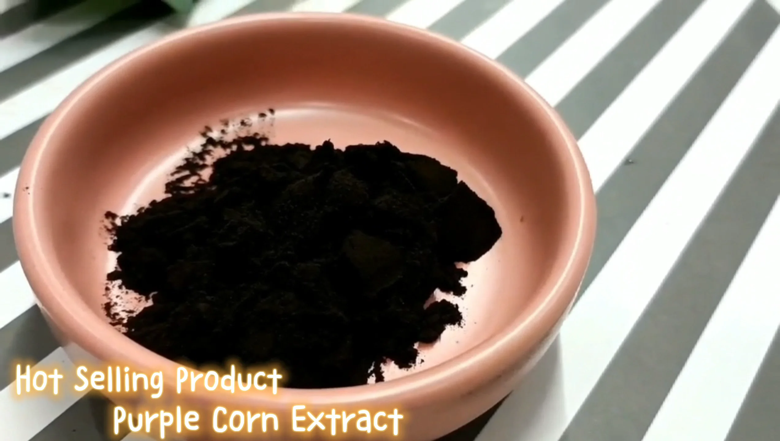 Best Price Purple Corn Extract Anthocyanidins 10% Purple Corn Extract ...