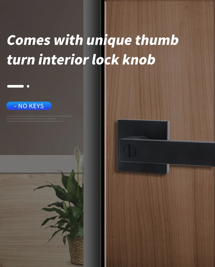 Modern Square Privacy Bathroom Interior Matte Black Door Handle Lock