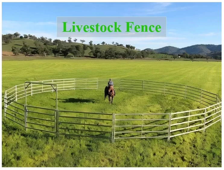 Portable Sheep Livestock Corral Panels Animal 6 bar 20 ft Continuous ...