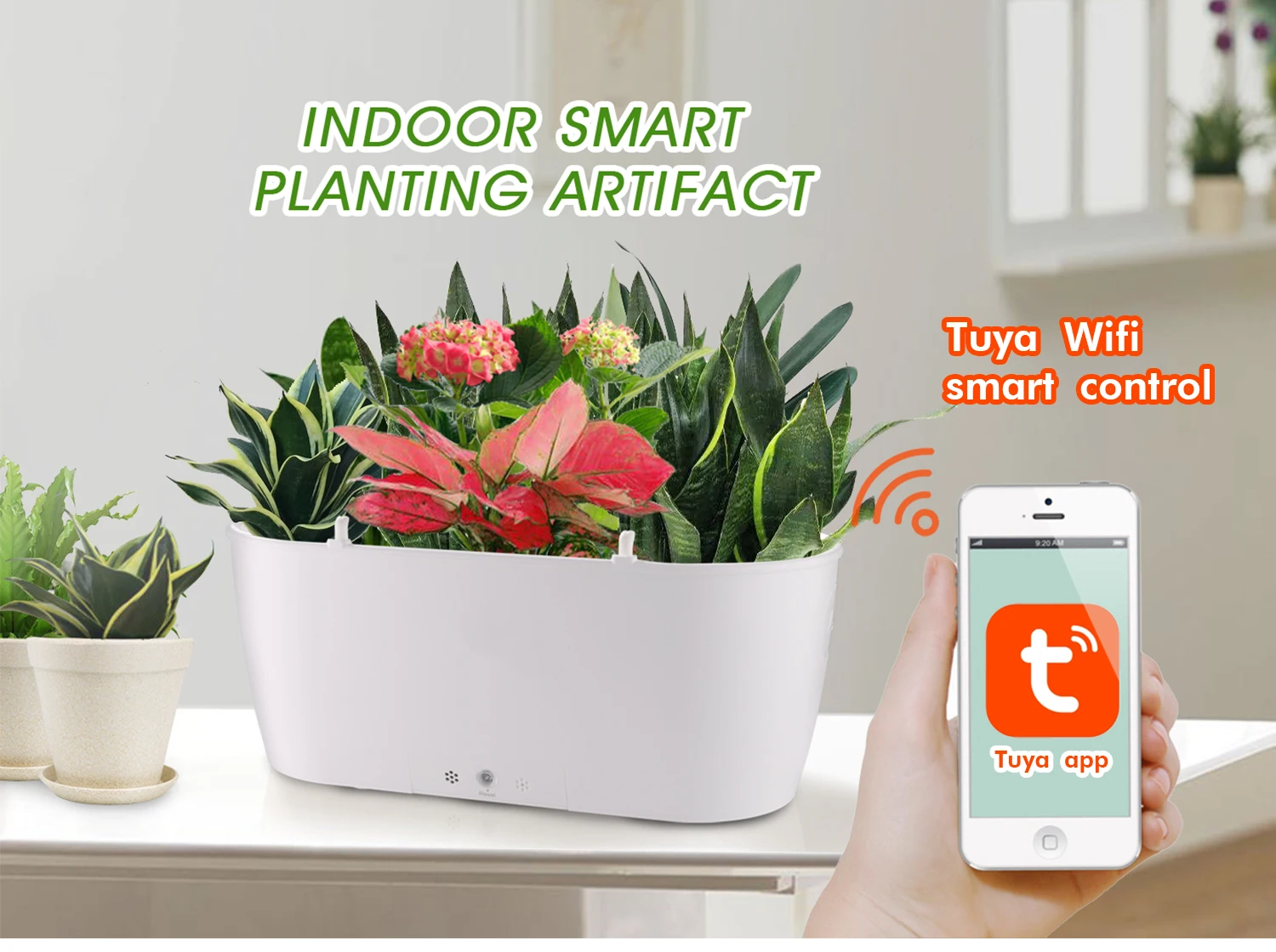 J&C Intelligent Sensors Green joy Indoor Garden Modern Garden Planter ...