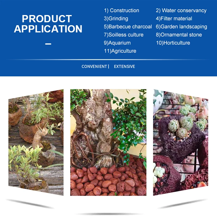 Growing Plants Used Red Volcanic Lava And Pumice Stone Black Black Lava ...