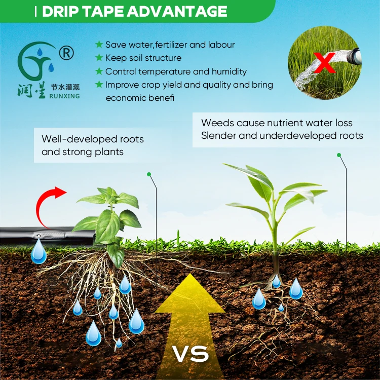 Efficient Irrigation Solutions for Farms - Drip & Sprinkler