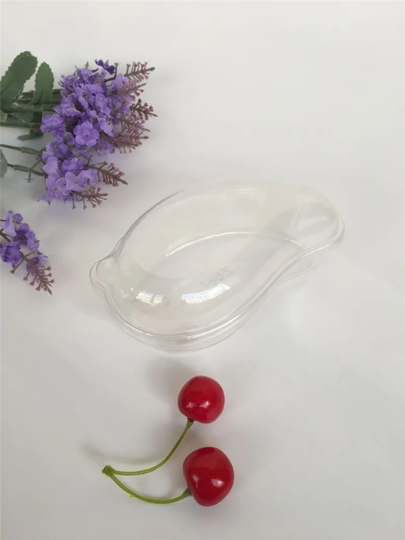 Mango Mousse Blister Cake Box - Transparent & Disposable