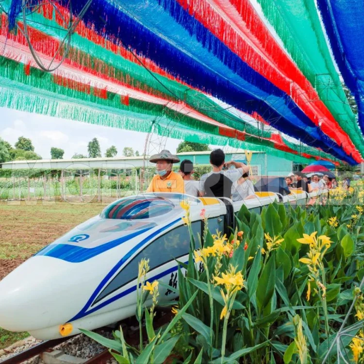 Alibaba.com: Outdoor Adult Attraction Electric Train, Amusement Park ...