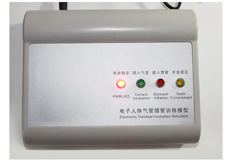 Kyrenmed 3d Human Electronic Endotracheal Intubation Mannequin ...