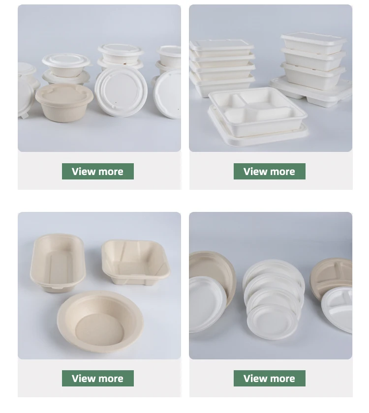 Sugarcane Eco Friendly Takeout Paper Bento Box Rectangular Clamshell ...