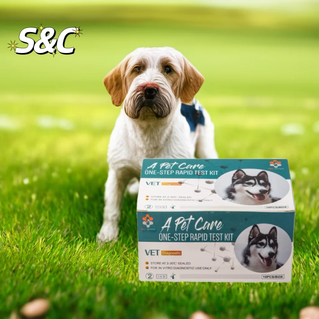 Low price no MOQ canine veterinary animal use pet medicine rapid test ...