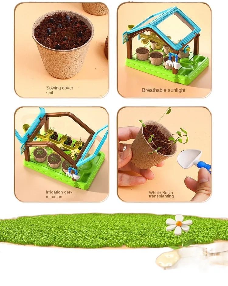 Room Diy Planting Greenhouse Science Experiment Planting Flowers House ...