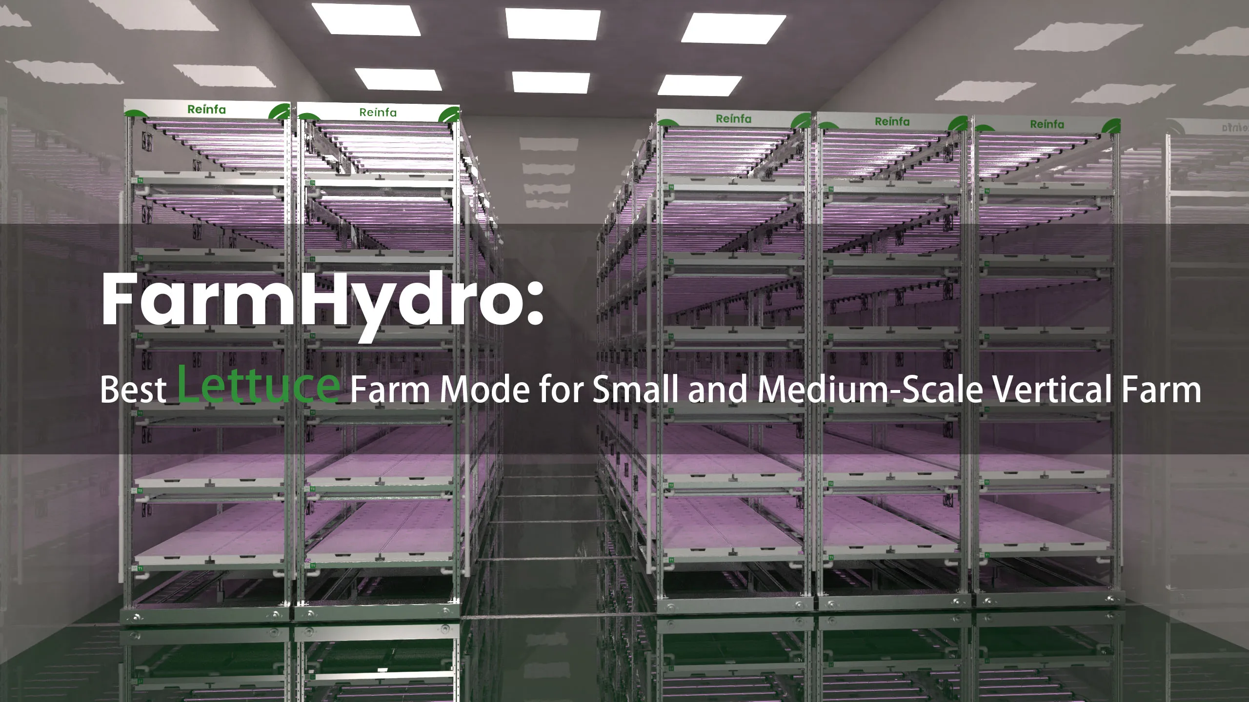 Automated 4x8ft Agriculture Vertical Grow System Plant Growing Racks ...