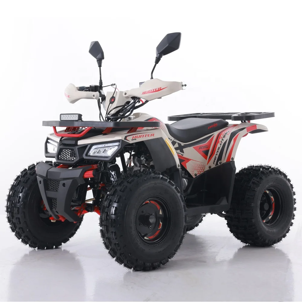 Tao Motor 2024 New Atv 125 Cheap Chinese Automatic Chain Drive Farm Atv ...
