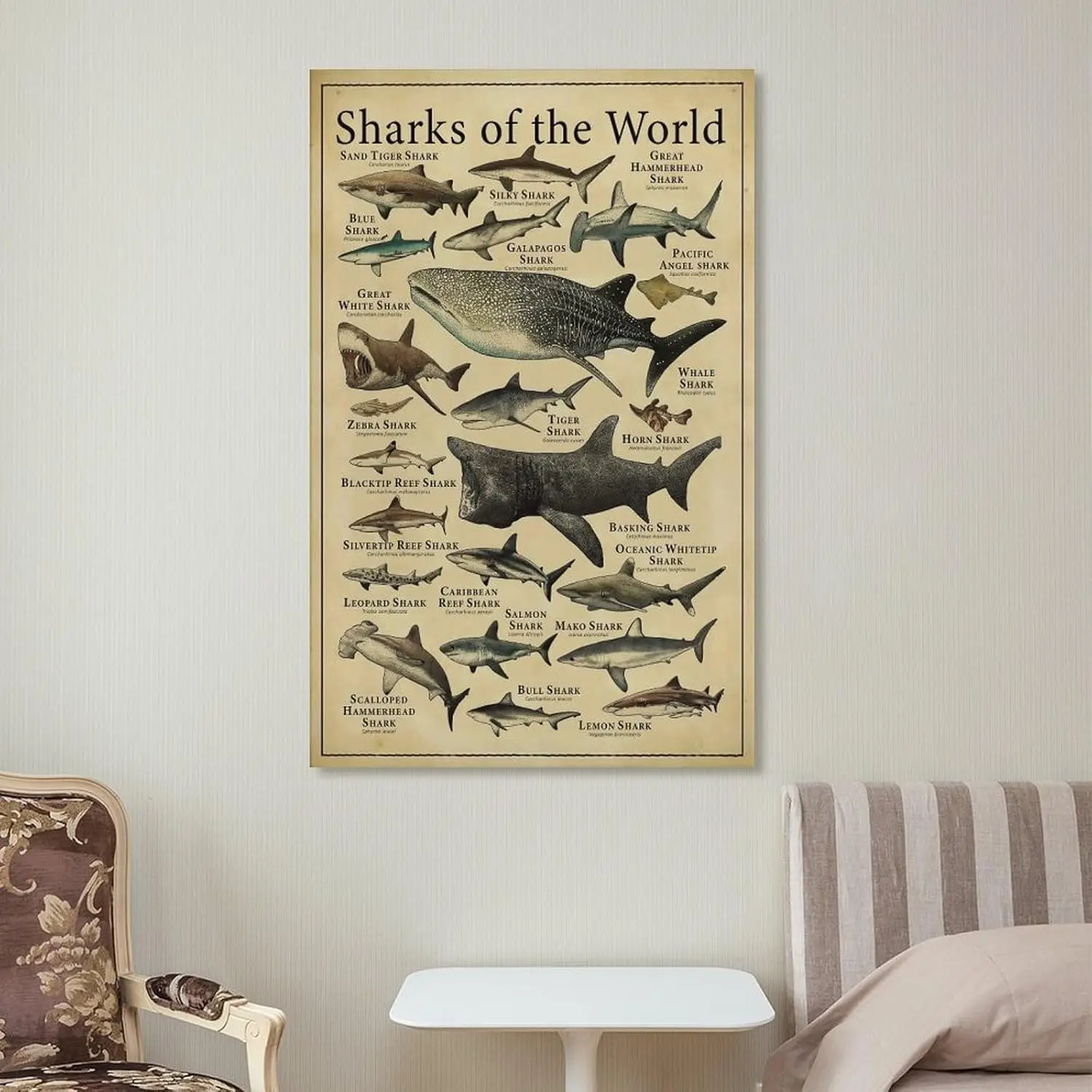 Wholesale Customized Shark Species Science Popularization Posters Self ...