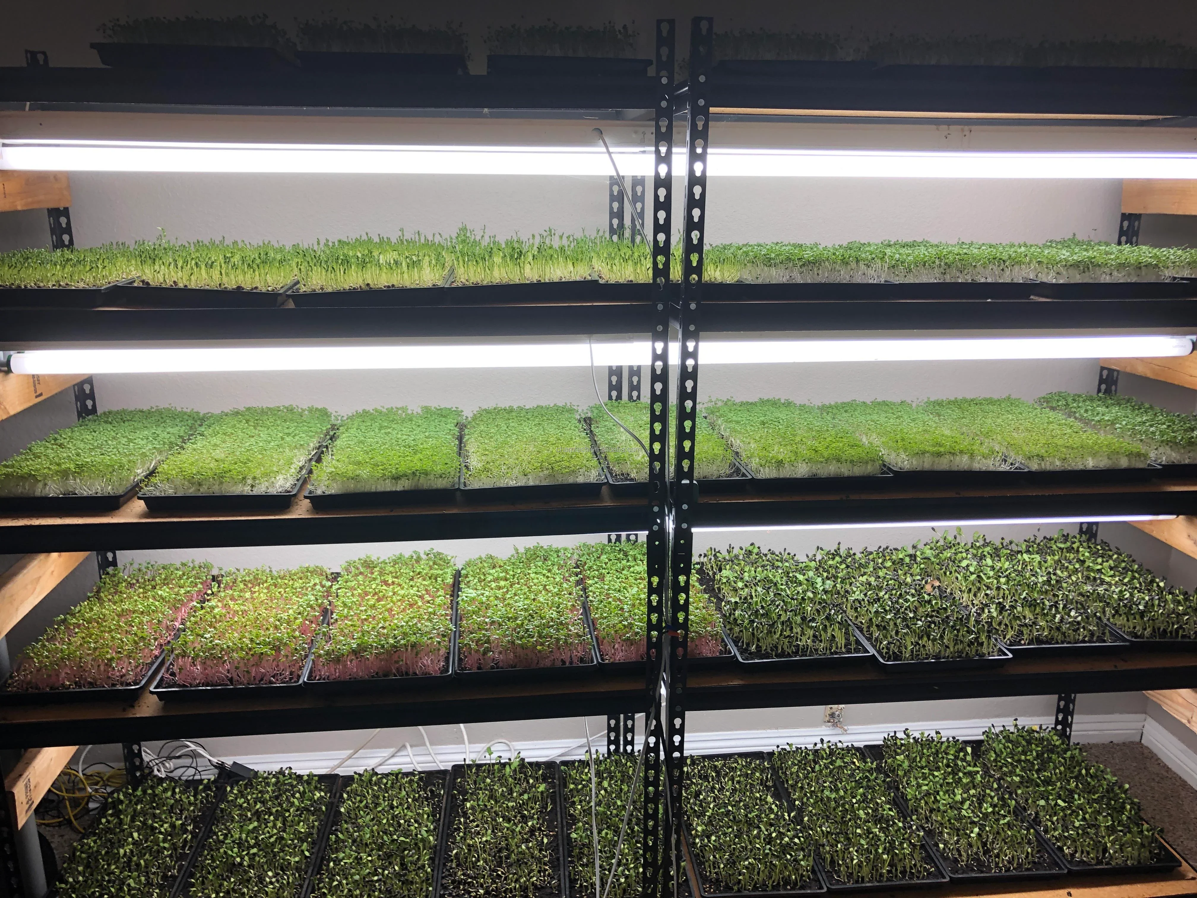 Factory Direct Sale Microgreen Flood Table With Custom Size And Flood ...