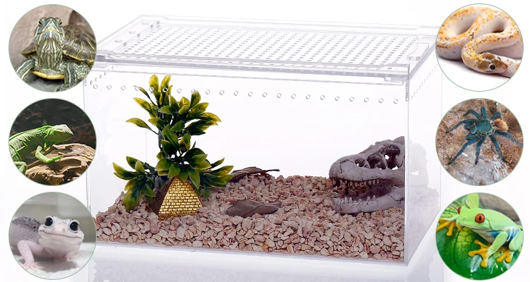 All Clear Small Horizontal Plexiglass Terrarium Cage Acrylic Vivarium ...
