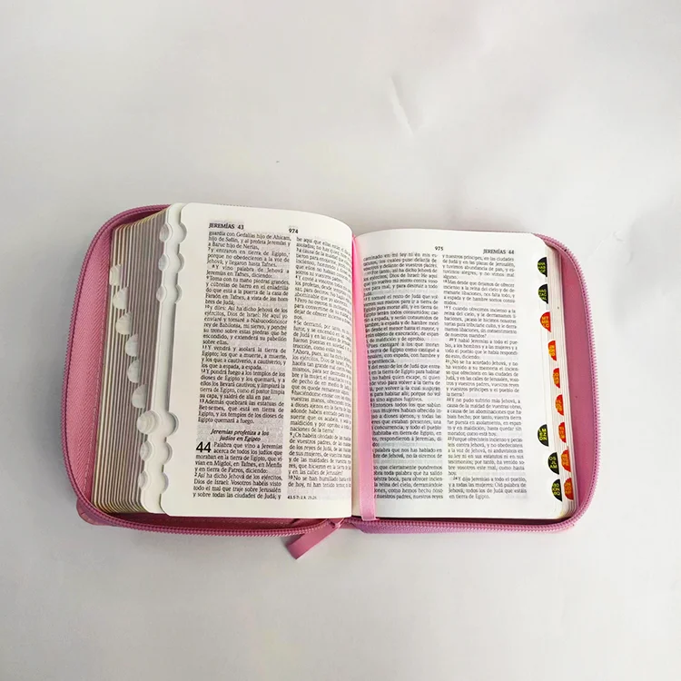 Custom La Sainte Bible Reina Valera De 1960 Biblia Libros Kjv English ...