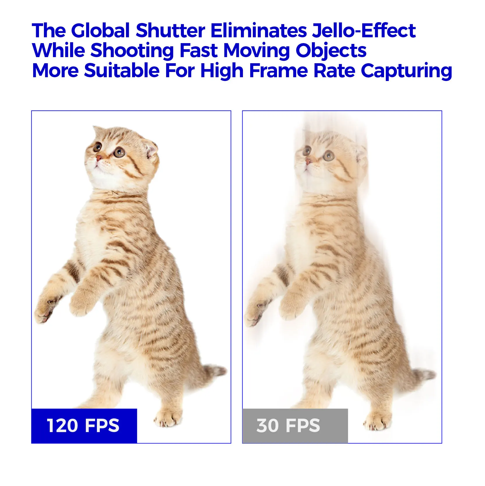 120fps OV9281 720P HD USB Camera Board for Motion Capture